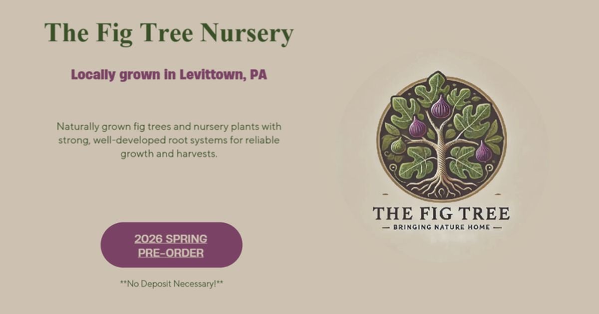 The Fig Tree Nursery
